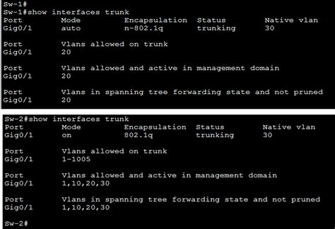 How To Remove A Vlan From A Trunk Port Lemp