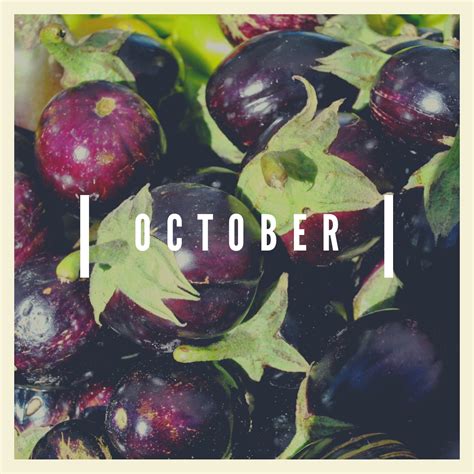 Events Doylestown Farmers Market