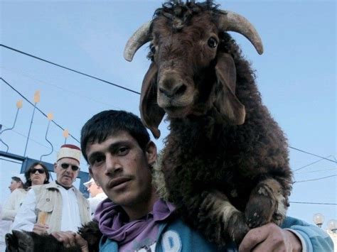 Seven Held For Attempting Passover Goat Sacrifice In Jerusalem