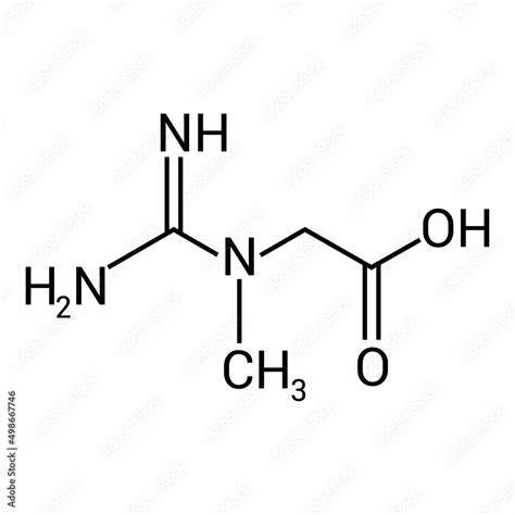 Chemical Structure Of Creatine Phosphate At Heidi Tan Blog