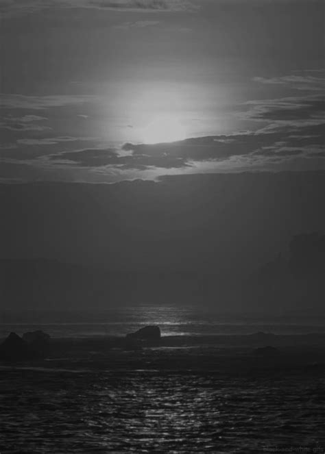 Black And White Nature Beautiful  On Er By Landazan