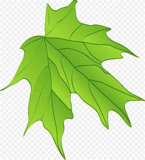 Png Png