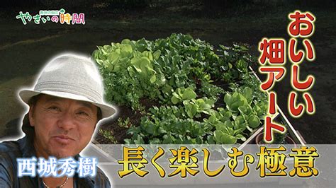 趣味の園芸・西城秀樹が畑アートに挑戦して「ヒデキ感激！」 Nhkラーニング