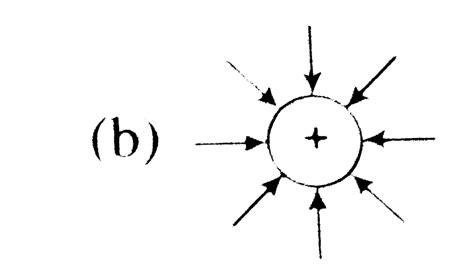 Which Of The Following Figure Represents The Electric Field Lines Due