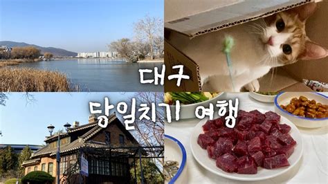 Vlog 여행 브이로그🧳 대구 당일치기 놀러가기 뚜벅이 여행 대구 갈만한 곳 Youtube
