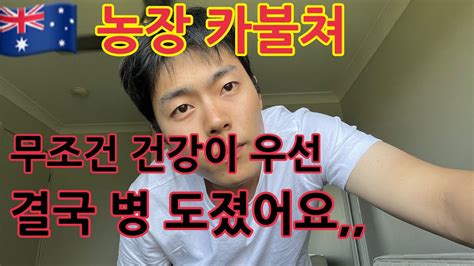 호주 워홀 농장 결국 응급실 갔습니다 서럽네요 [브리즈번 Ep 19] Youtube