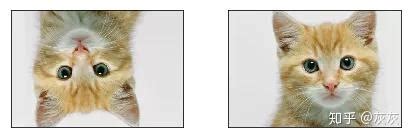 使用skimage处理图像数据的 个技巧视觉进阶 知乎