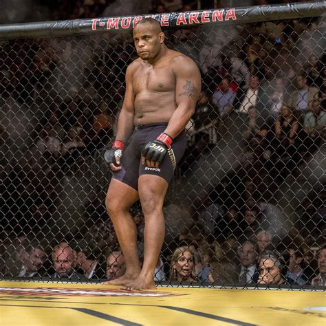 Daniel Cormier Light Heavyweight