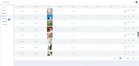 基于springboot的宠物社交平台设计和实现源码lw调试文档讲解等宠物社交平台实现与开发 Csdn博客