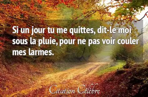 Citation Anonyme Jour Si Un Jour Tu Me Quittes Dit Le Moi Sous La