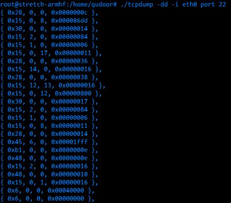 Linux网络编程原始套接字 包过滤器BPF tcpfump bpf code CSDN博客