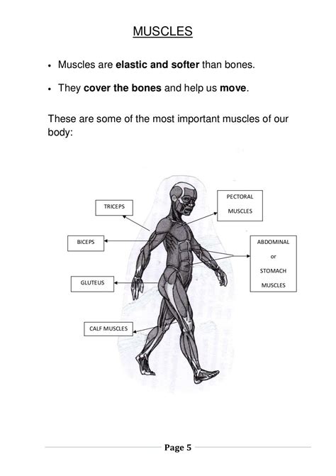 Unit 2 Our Body