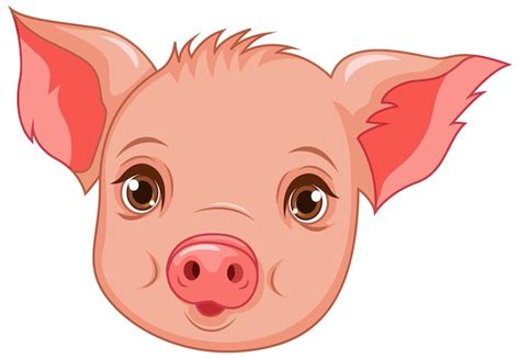 Dibujos Animados Lindo Cerdo Aislado Vector Premium