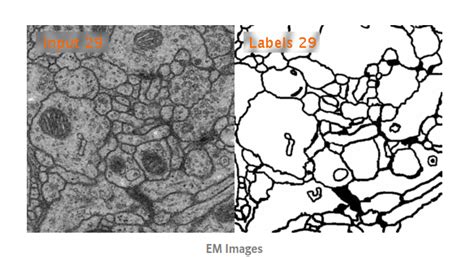 What Label Tool Are You Using Can You Share Me Your Label Tool By