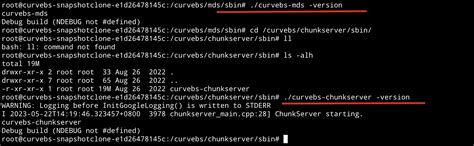 Curvebs Cannot Show The Version Of Curvebs Mds And Curvebs