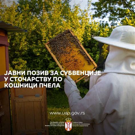 Од данас подношење захтева за подстицаје по кошници пчела Управа за аграрна плаћања