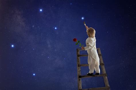 A Solas Contigo Senior50