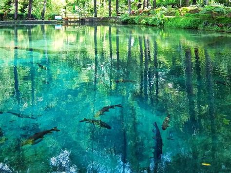 Telaga Rambut Monte Wisata Hidden Gem Di Blitar Punya Sumber Air