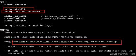 linux基础io重定向 close 与dup2 csdn博客