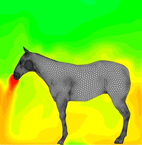 Computational Fluid Dynamics Stacey Agnew