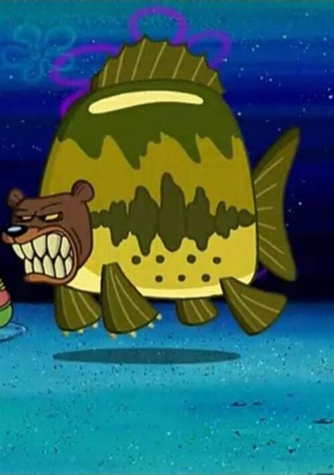 Sea Bear Encyclopedia Spongebobia The Spongebob Squarepants Wiki