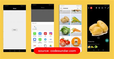 Flutter Share Example With Text Image Video File Sharing Codesundar