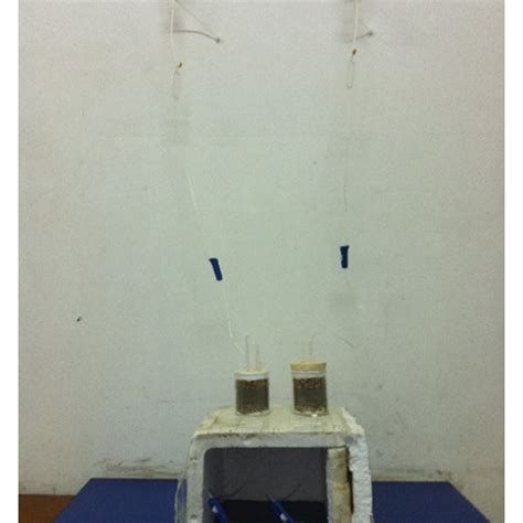 Schematic Diagram Of The Micp Experimental Device Download