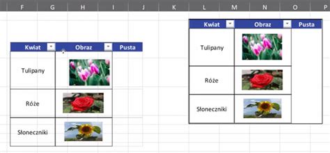 Excel Aparat fotograficzny robienie zdjęcia w Excelu porada 407
