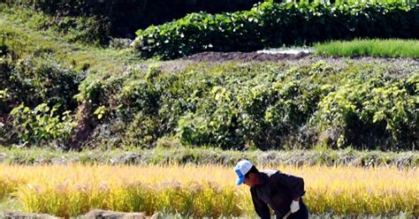 괭이질하는 농부