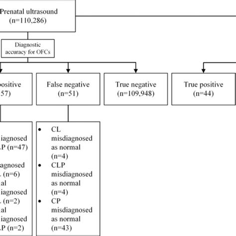 The Flowchart Shows The Algorithm Of Statistical Measures Of Ofcs Ofcs