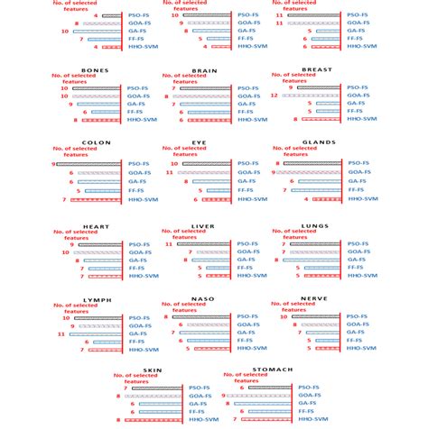 Comparison Of No Of Selected Features Between Bhho Fs And Ff Fs Download Scientific Diagram