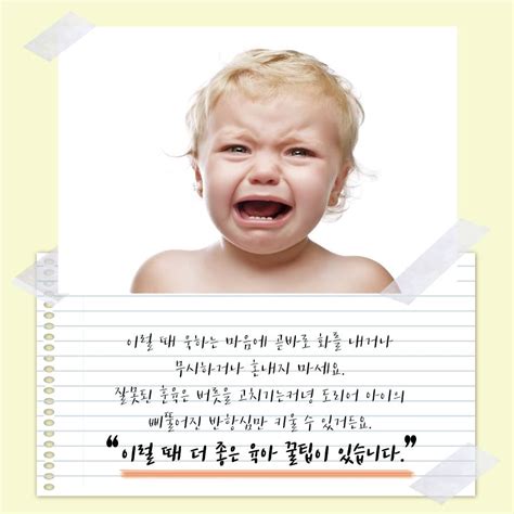 키덤스 광광 떼쓰는 아이들 교육법 알아보세요 소중한 우리아이 광광 울고 떼쓰는 우리아이