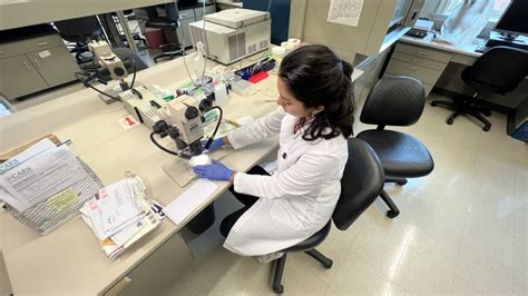 State Tick Testing Lab Tracking Increase In Tick Submissions “we Are