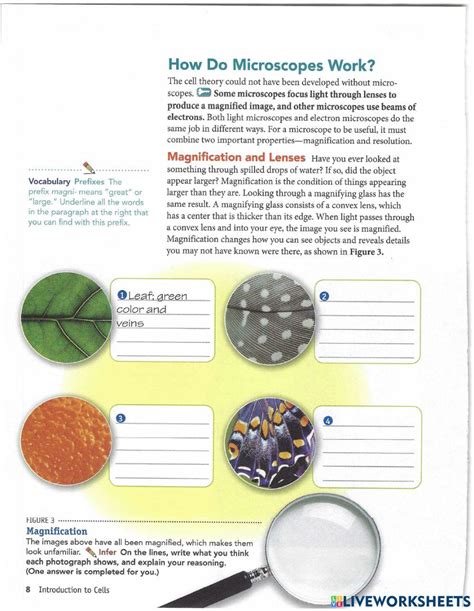 Microscope Info Free Interactive Worksheets 4986512