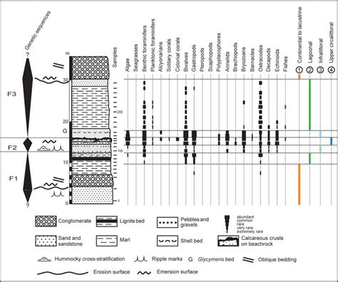 Colour Online Sedimentary Log Relative Abundance Of Skeletal