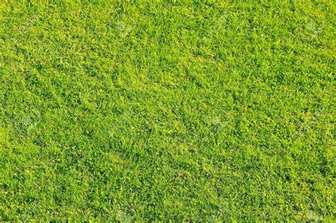 Football Grass Texture Atelier Yuwaciaojp