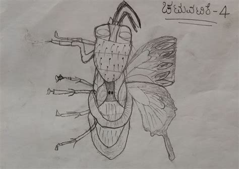 Imaginary Insect Drawing Artsparks Foundation