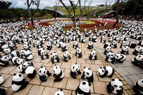 Pandas World Tour Takes Over Taipei ~ Kuriositas