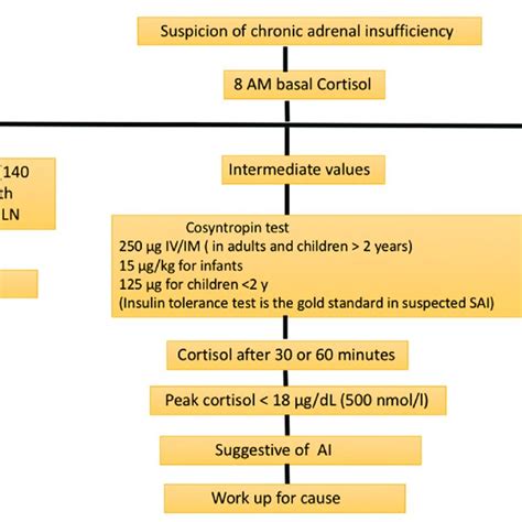 Biochemical Screening Evaluation For Suspected Adrenal Insufficiency