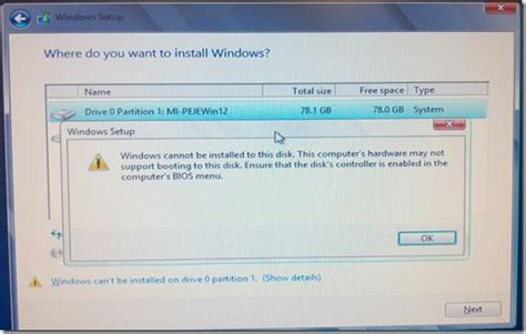 windows setup error with a wrong disk