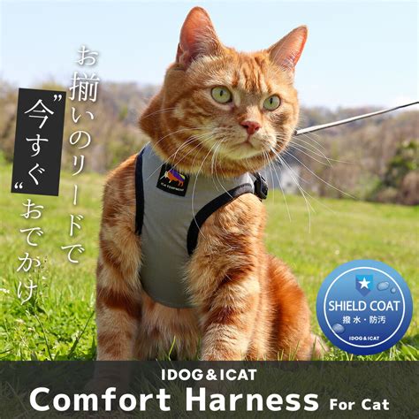 【楽天市場】【 猫 爪とぎ 】icat アイキャット オリジナル つめとぎ しまネコ【 段ボール 爪 ネイル 爪磨き 猫用つめとぎ 猫の