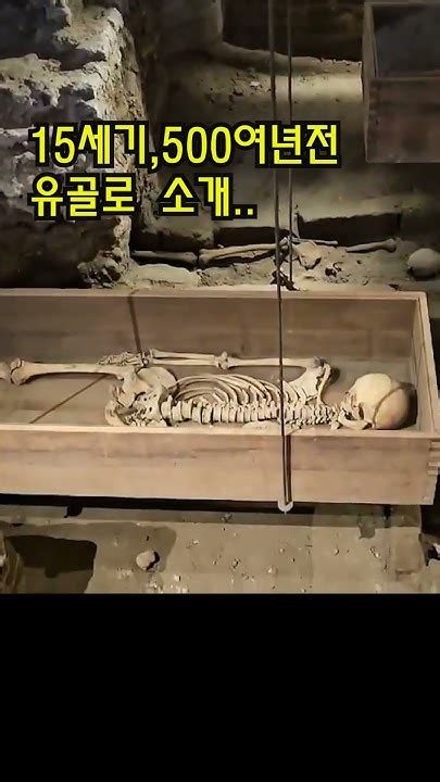 네덜란드 교회 지하 무덤 유골을 보다니 Youtube