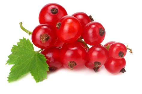 Чем полезна красная смородина и кому нельзя ее есть - foodandmood.com.ua