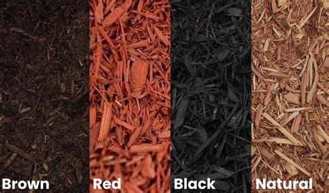 What Color Mulch Is Best For Flower Beds 4 Bold Picks