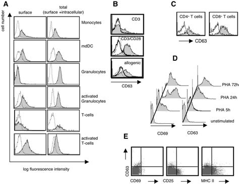 Expression Of Cd63 A The Surface And Total Surface And Download Scientific Diagram