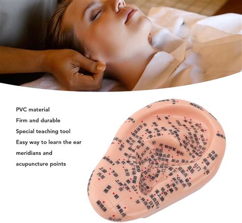 17 Cm Ear Acupuncture Model Clear Ear Reflex Point And Massage Display