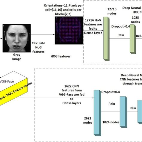 The Proposed Multi Input Hybrid Fer Model For Facial Expression Download Scientific Diagram