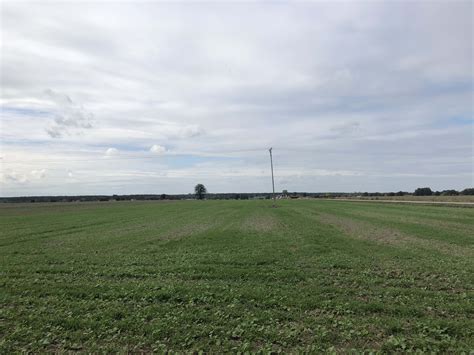 Poletka rzepaku zabieg herbicydowy 01 10 2019 r Agroskład