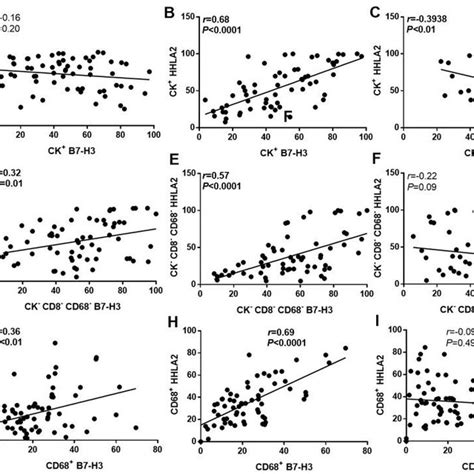 Spatial Information Of Tumor Microenvironment Retrieved Using Multiplex