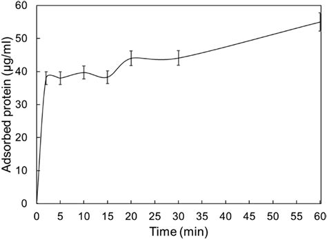 Kinetics Of Rhbsag Binding On Capto Mmc Resin Download Scientific
